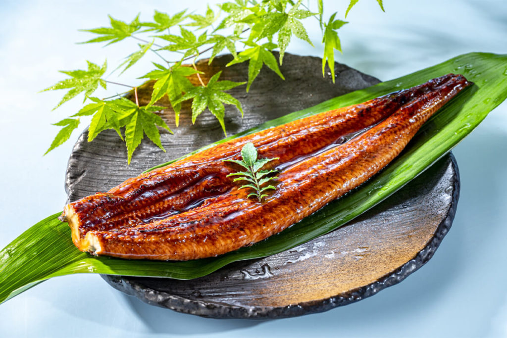 土用の丑の日の意味を分かりやすく紹介！2023年はいつ？ - Cuugal